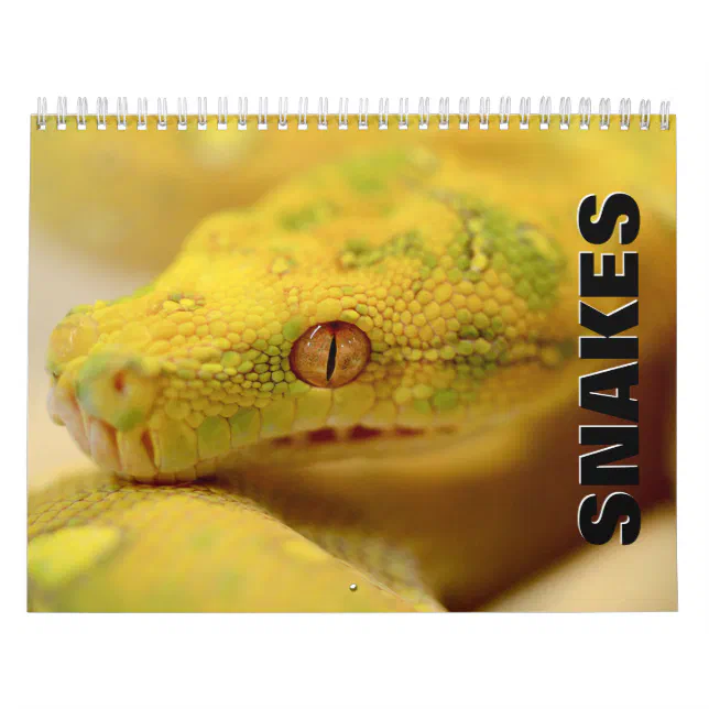 Snakes [2] Wall Calendar | Zazzle