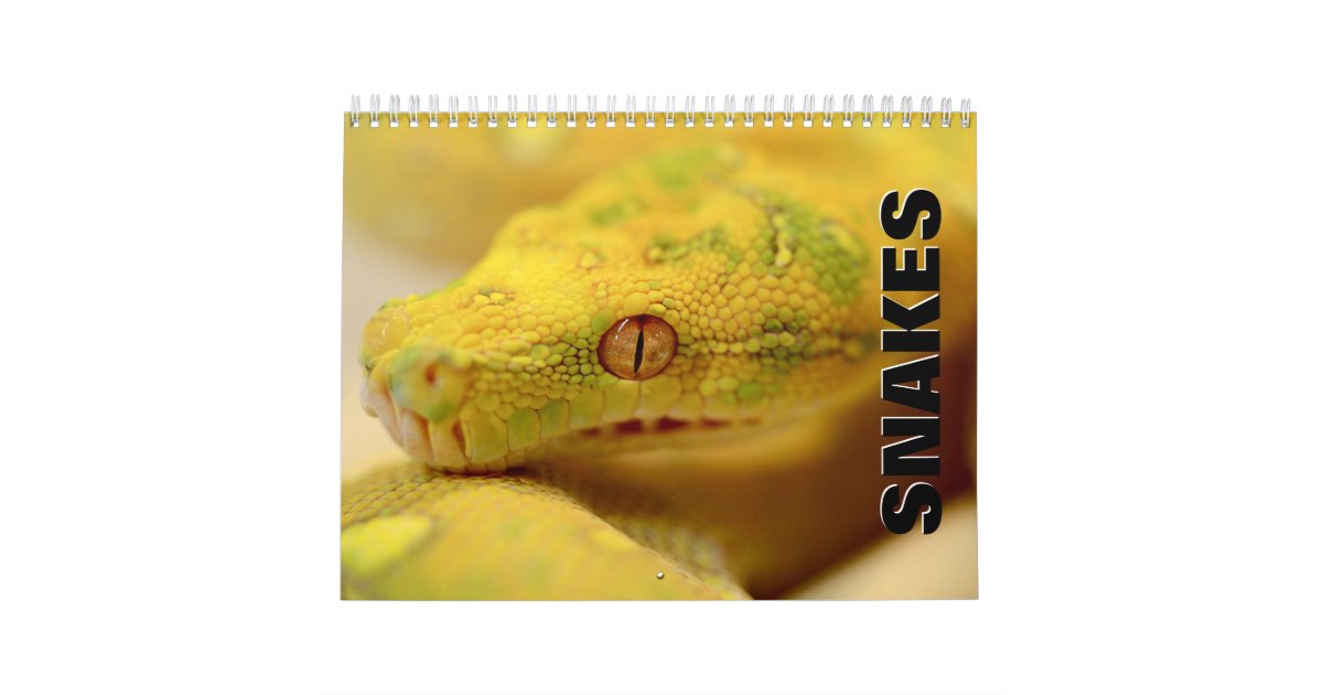 Snakes [2] Wall Calendar | Zazzle