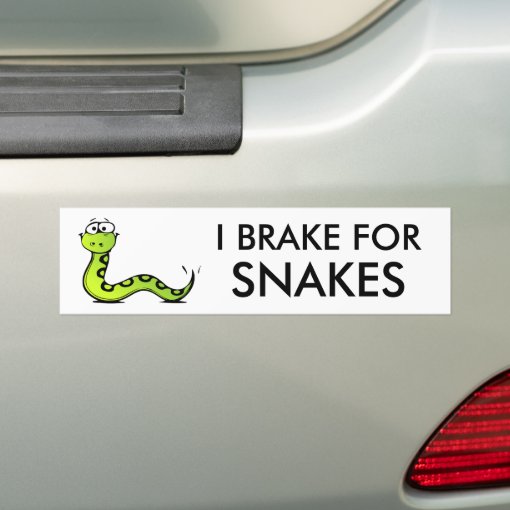 snakes bumper sticker | Zazzle