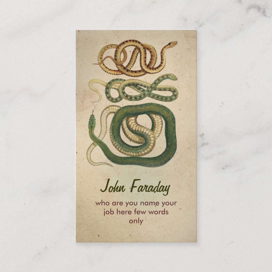 snakes business card | Zazzle