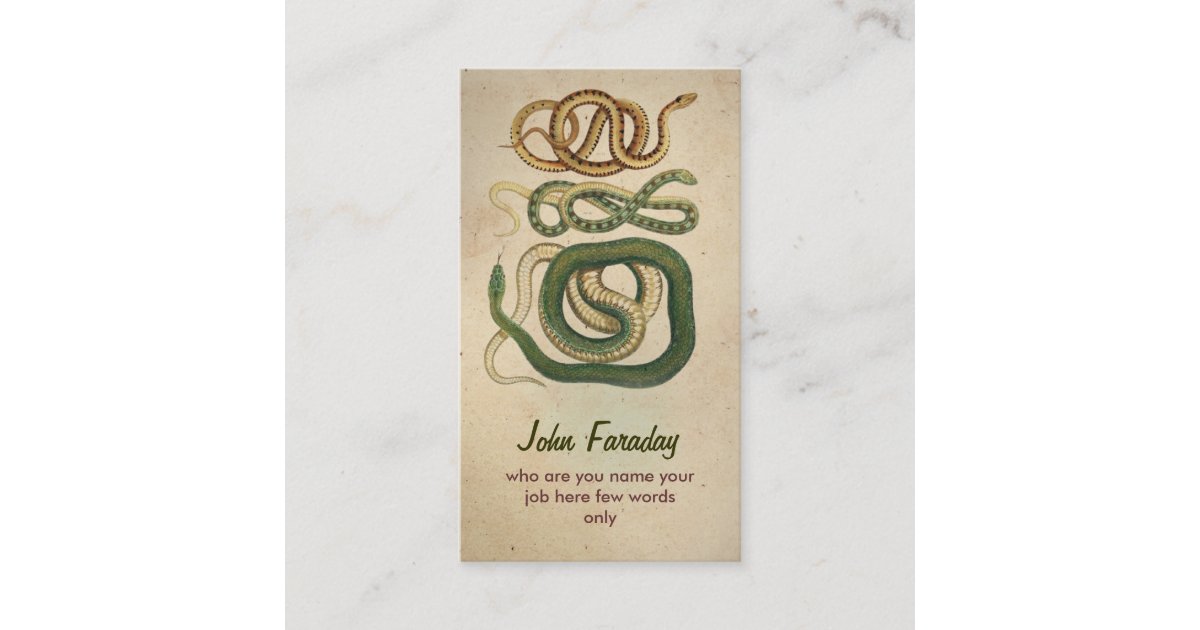snakes business card | Zazzle