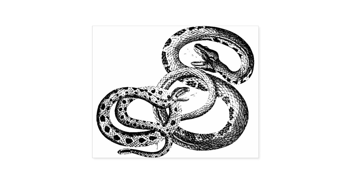 Snakes Rubber Stamp | Zazzle