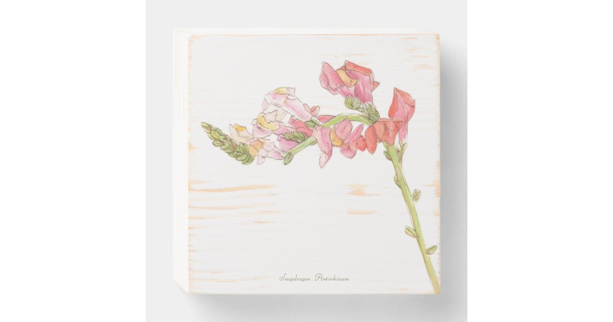 Snapdragon wooden box sign | Zazzle