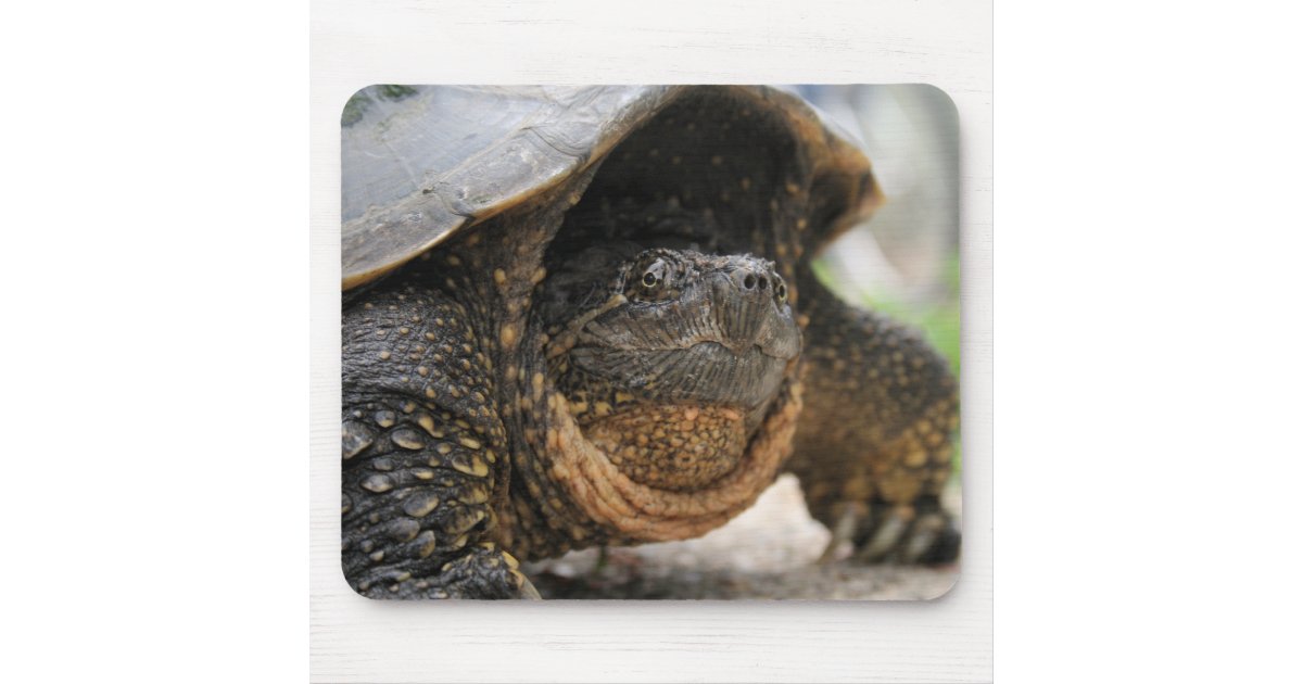 Snapping Turtle Mouse Pad | Zazzle