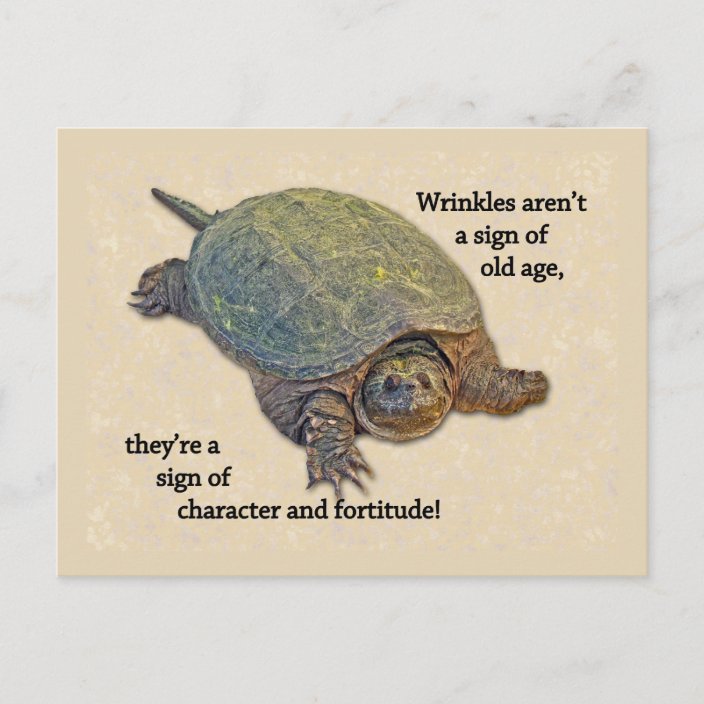Snapping Turtle Wrinkled Old Age Wisdom Postcard | Zazzle.com