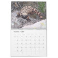 Snapshots Calendar | Zazzle