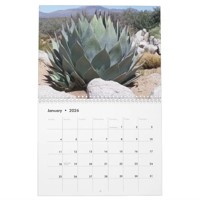 Snapshots Calendar | Zazzle