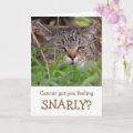 Snarly Cat Funny Cancer Folded Greeting Card | Zazzle