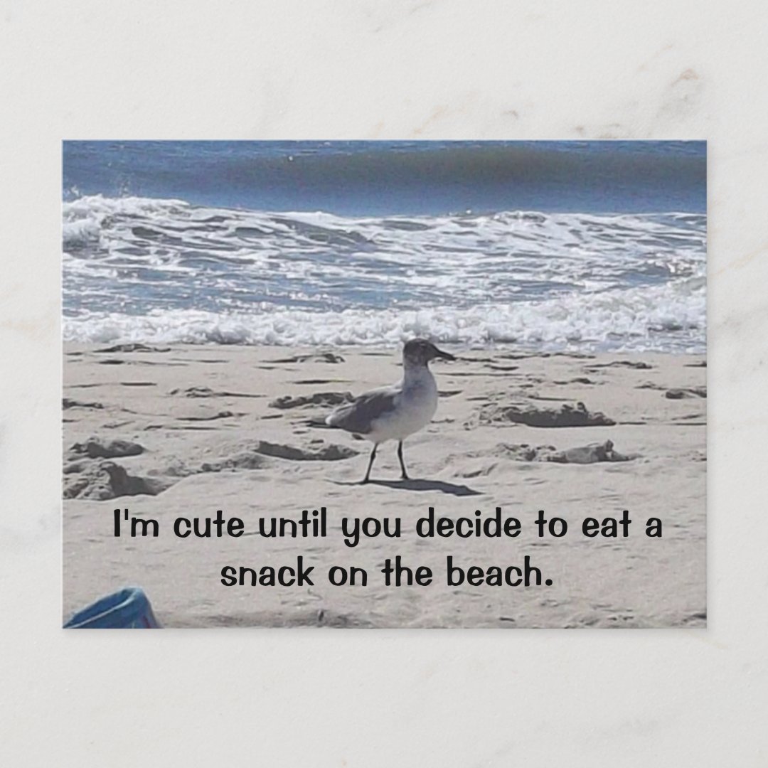 Sneaky Bird on the Beach Postcard | Zazzle