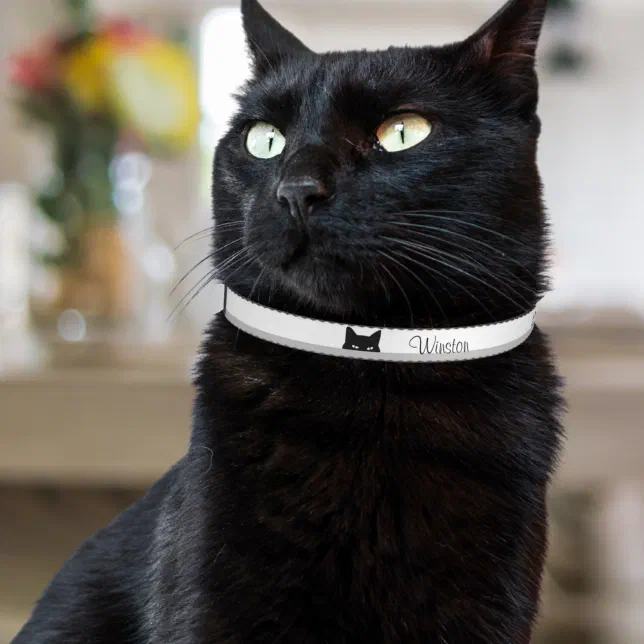 Sneaky Cat Pet Collar | Zazzle