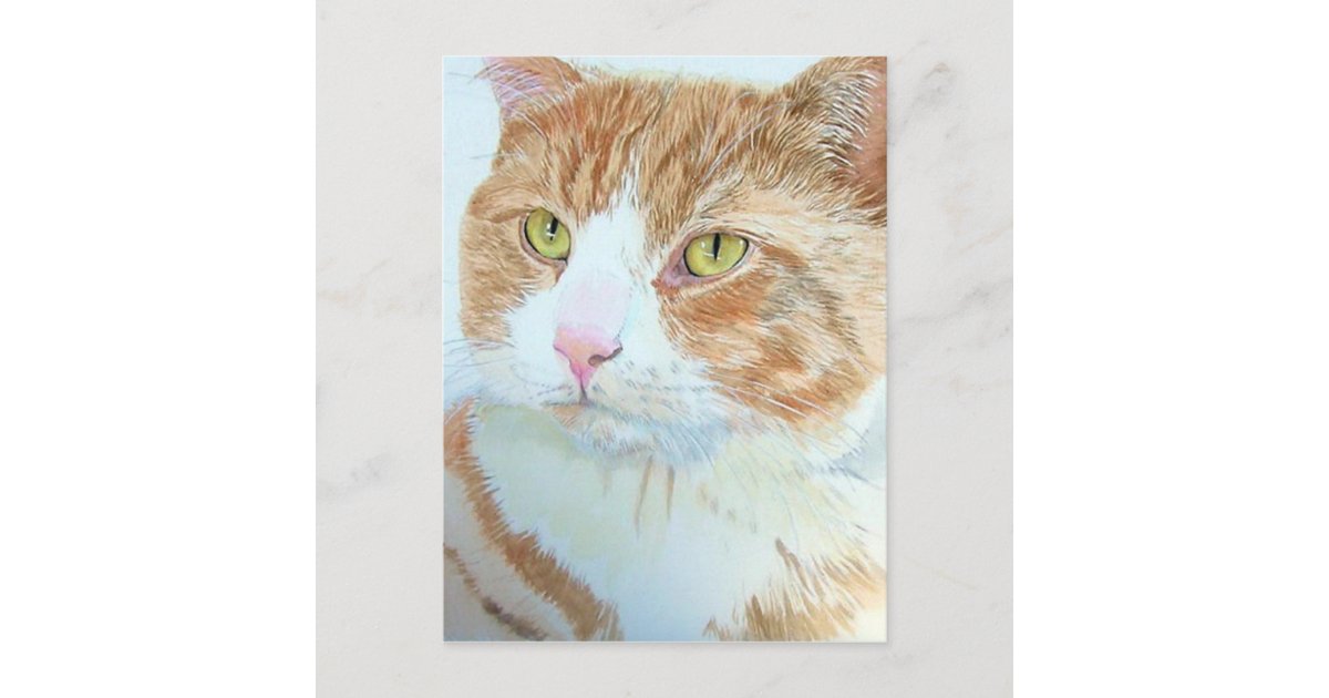 Snickers the Cat Postcard | Zazzle
