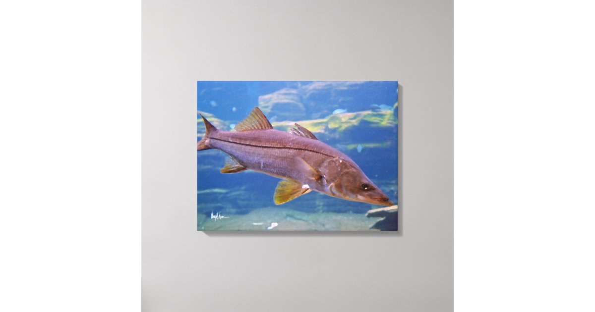 Snook Fish Canvas Print | Zazzle