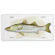 Snook License Plate | Zazzle