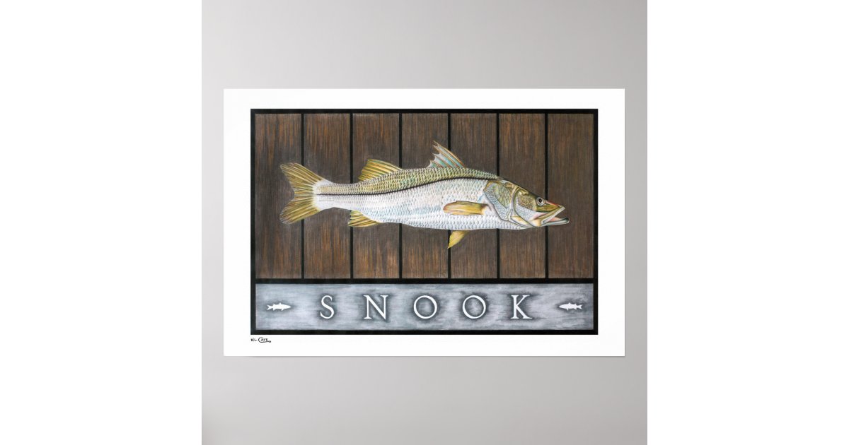 Snook Posters, Prints and Frames | Zazzle