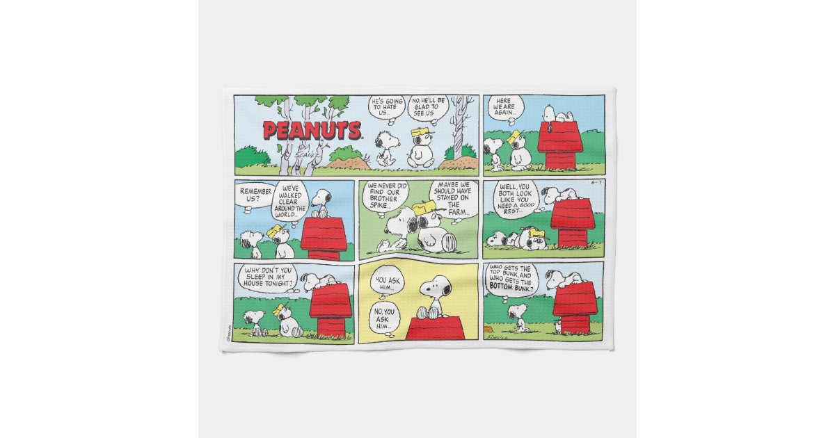 Snoopy & His Brothers Andy & Olaf Kitchen Towel | Zazzle