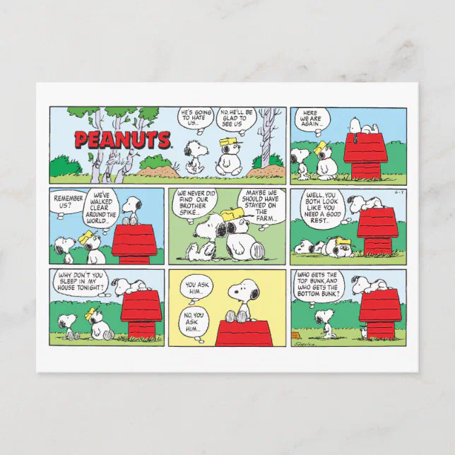 Snoopy & His Brothers Andy & Olaf Postcard | Zazzle