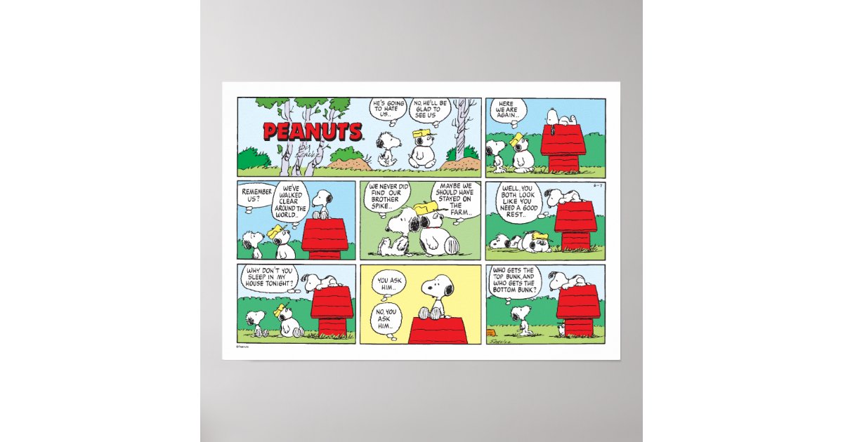 Snoopy & His Brothers Andy & Olaf Poster | Zazzle