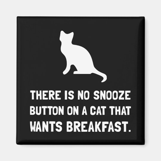 Snooze Button Cat Magnet | Zazzle.com