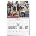 SNORT RESCUE 2020 CALENDAR | Zazzle
