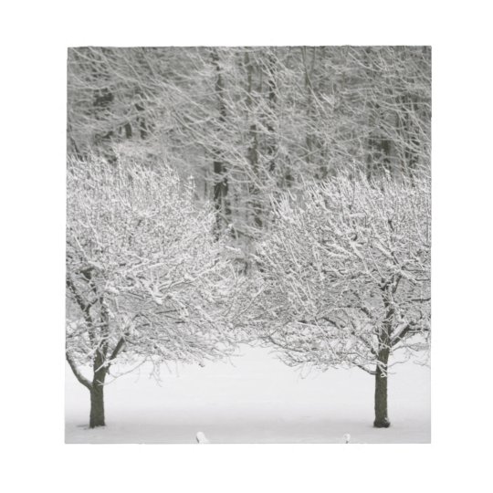 Snow covered landscape notepad | Zazzle.com