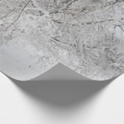 Snow Covered Tree Wrapping Paper - USA | Zazzle