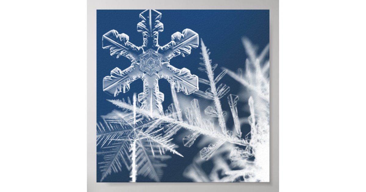 snow crystals poster | Zazzle