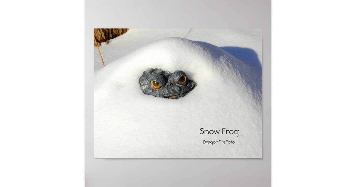 snow frog poster | Zazzle