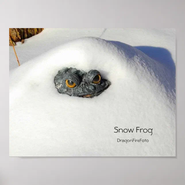 snow frog poster | Zazzle