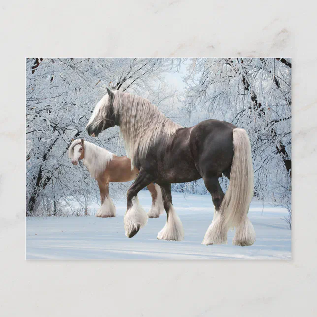 "Snow Gypsies" Postcard | Zazzle