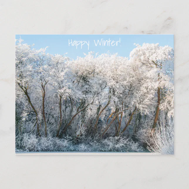 Snow Landscape Winter Photo Postcard | Zazzle