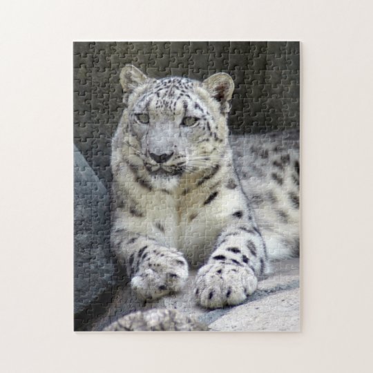 snow leopard 6 jigsaw puzzle | Zazzle.com