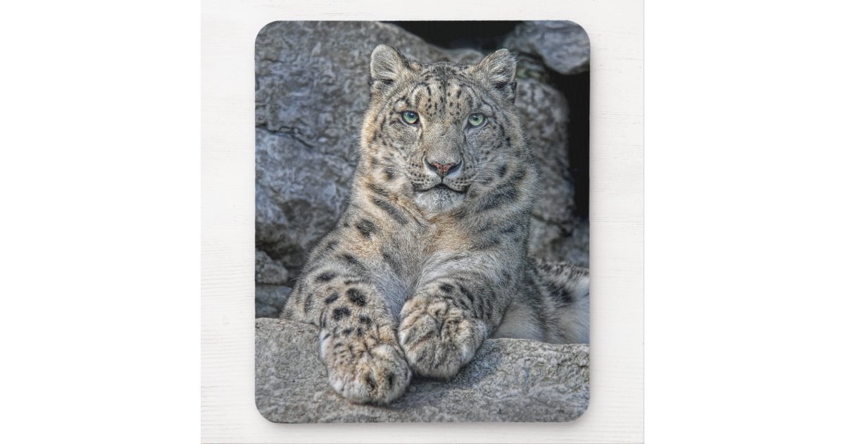 Snow Leopard Beauty Mousepad | Zazzle