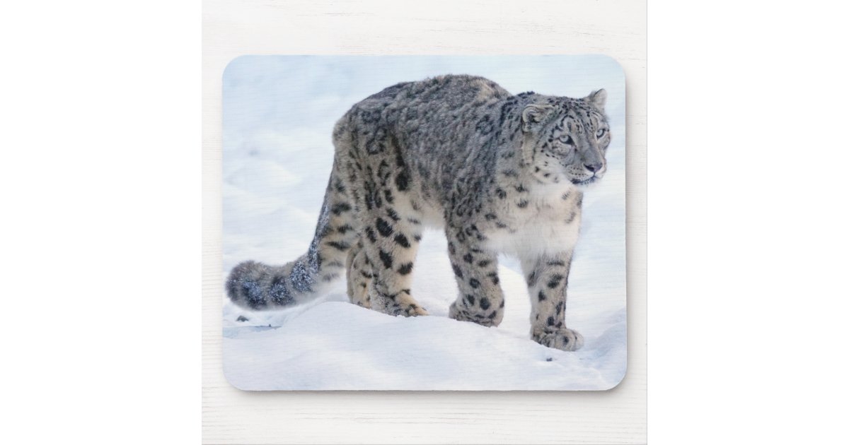 Snow leopard mouse pad | Zazzle
