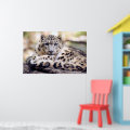 Snow leopard poster | Zazzle