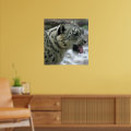 Snow Leopard Poster | Zazzle