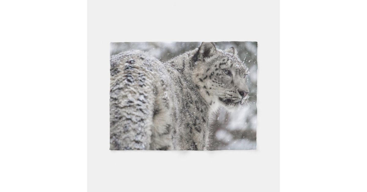 Snow Leopard Standing in Snow Fleece Blanket | Zazzle