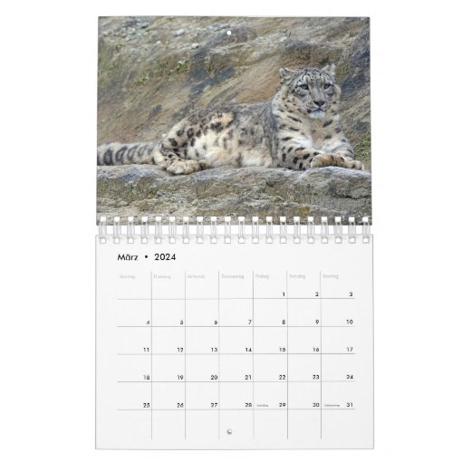 Snow leopards as a calendar | Zazzle