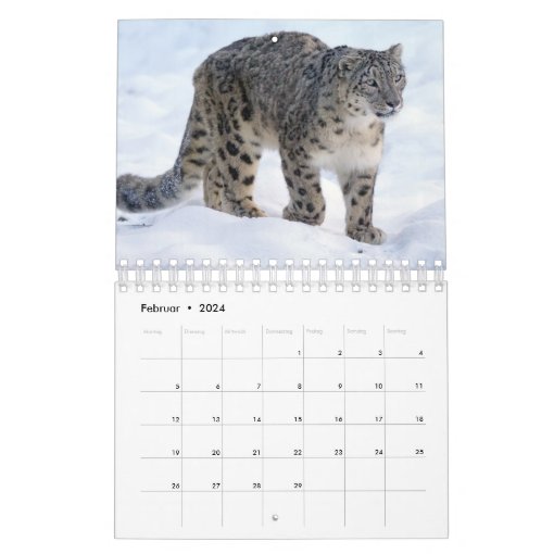 Snow leopards as a calendar | Zazzle