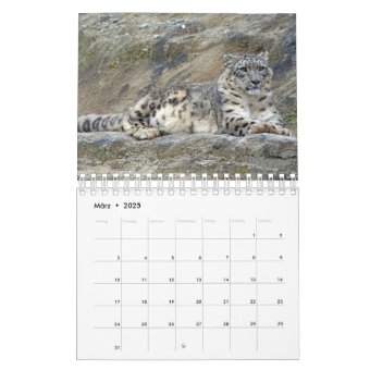 Snow leopards as a calendar | Zazzle