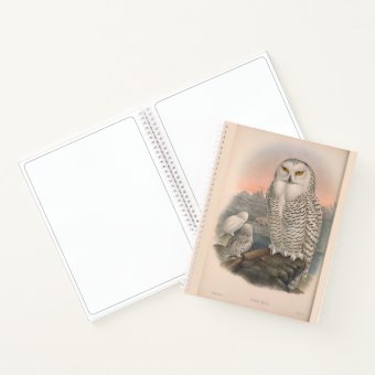 Snow Owl and Falcon Hardcover Spiral Sketchbook Notebook | Zazzle