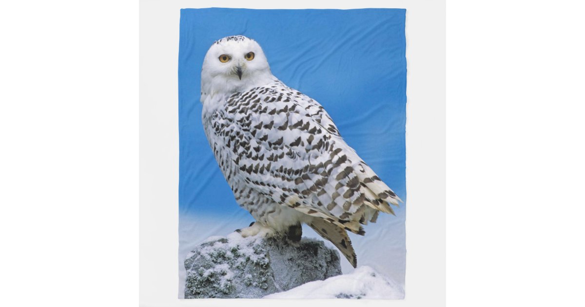 SNOW OWL FLEECE BLANKET | Zazzle