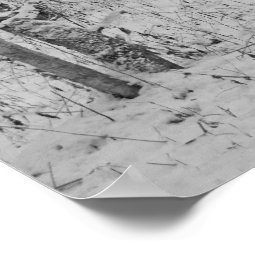 Snow Queen Poster | Zazzle