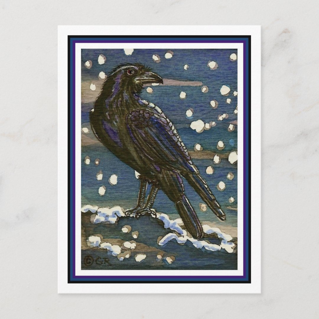 Snow Raven Postcard | Zazzle