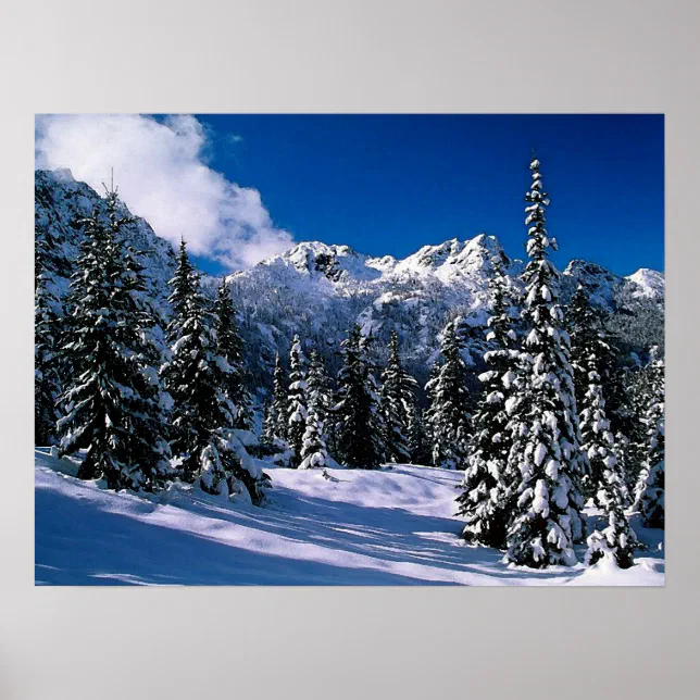 Snow Scene Winter Mountains Print | Zazzle