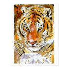 Painted Digital Siberian Tiger Postcard | Zazzle.com