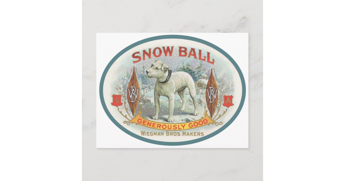 Snowball the Dog Postcard | Zazzle