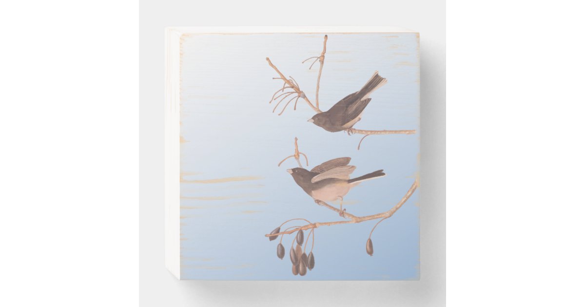 Snowbirds on a Bare Winter Branch Wooden Box Sign | Zazzle