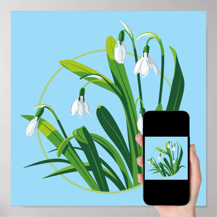 Snowdrop Flowers Poster | Zazzle