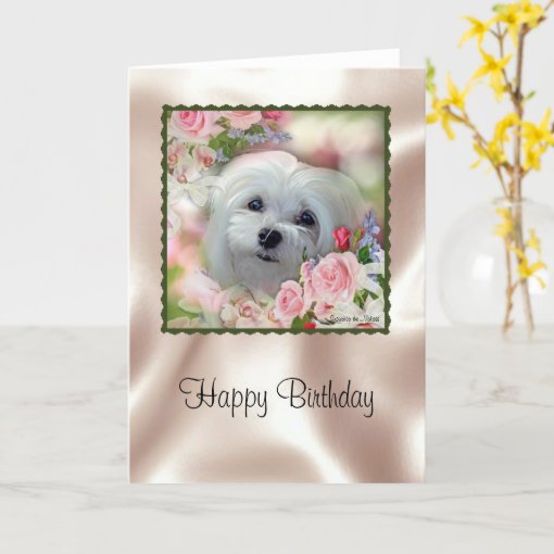 Snowdrop the Maltese Birthday Card | Zazzle