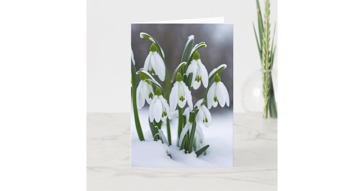 Snowdrops In Snow for Birthday Card | Zazzle